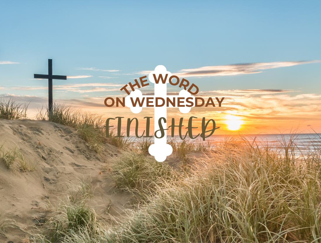 Finished, by Melissa Carey - Debb Hackett