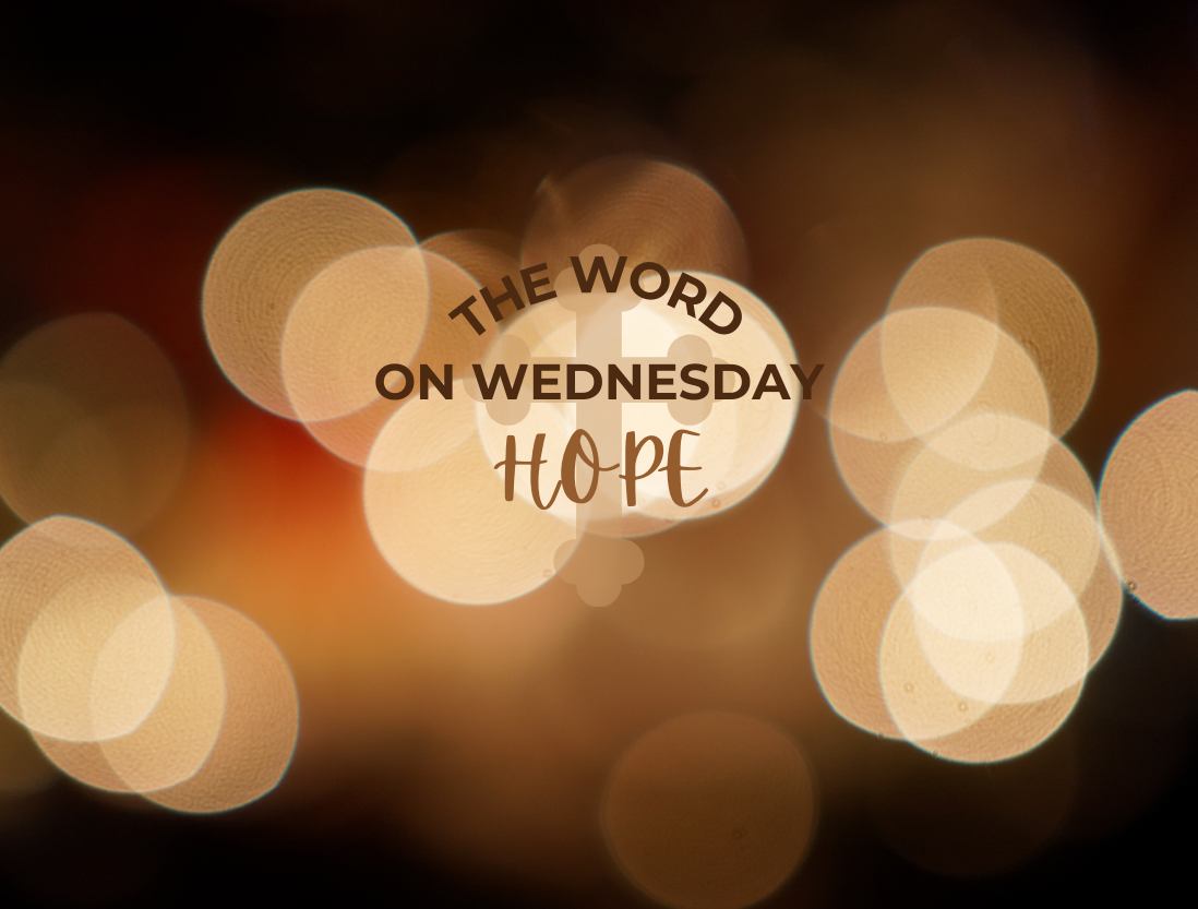 Hope, by Kimberley Woodhouse - Debb Hackett