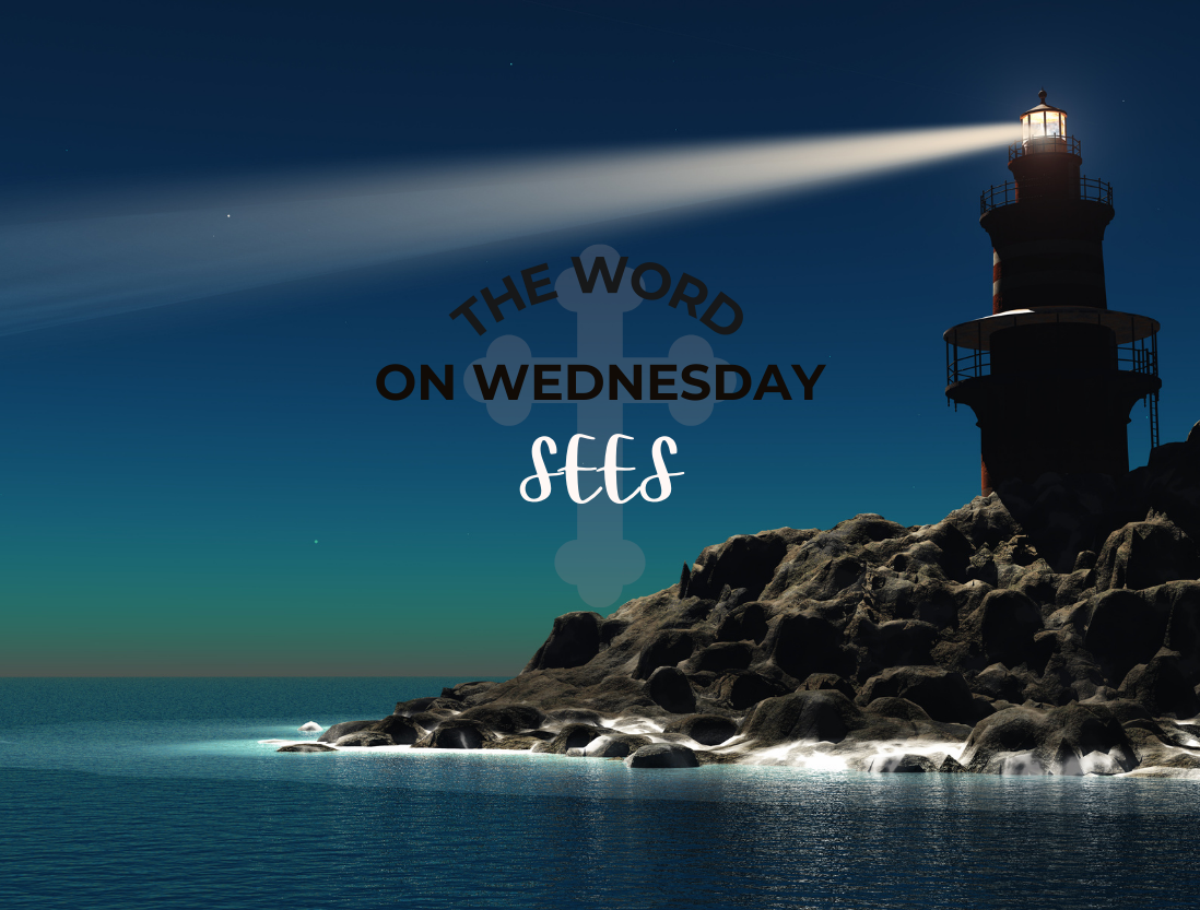 Sees, by Melissa Carey - Debb Hackett
