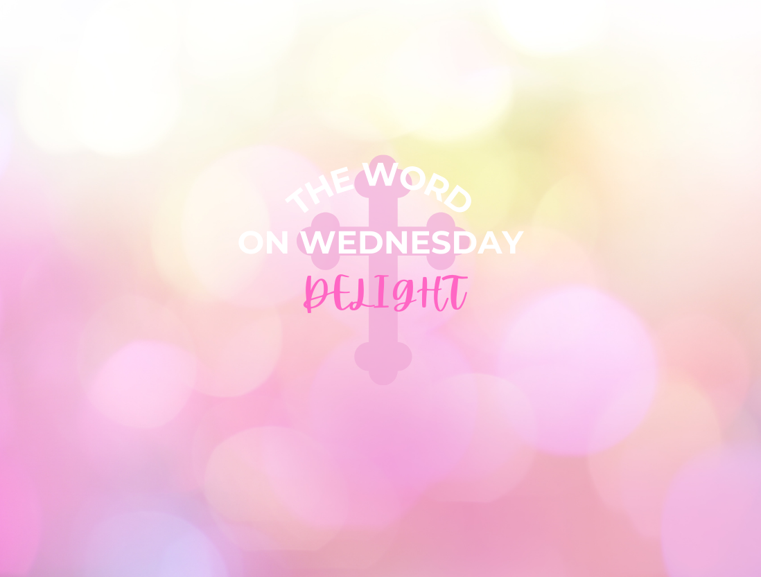 Delight, by Kimberley Woodhouse - Debb Hackett