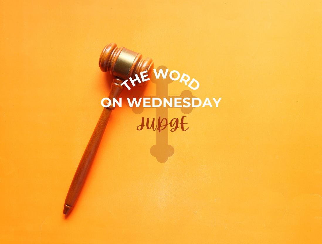 Judge, by Melissa Carey - Debb Hackett