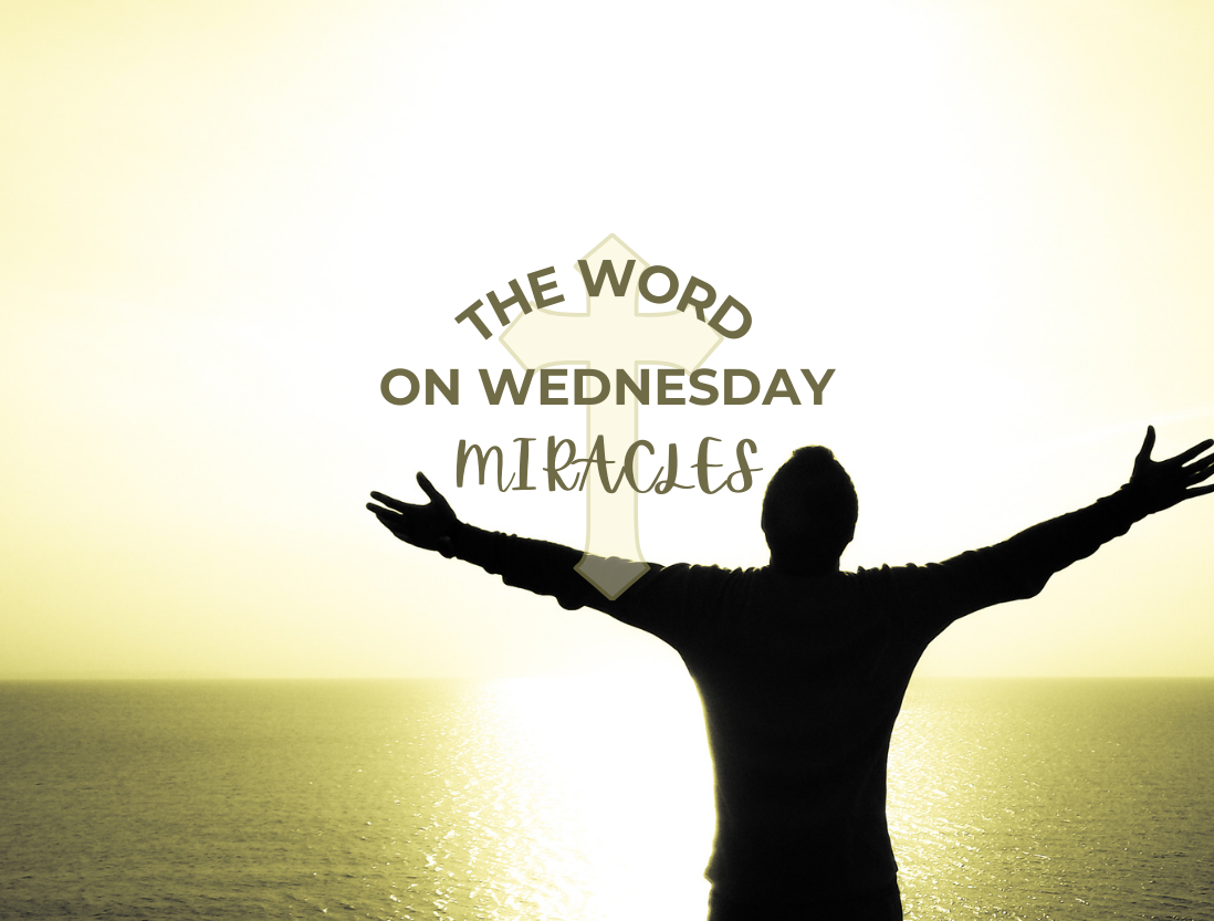 Miracles, by Melissa Carey - Debb Hackett