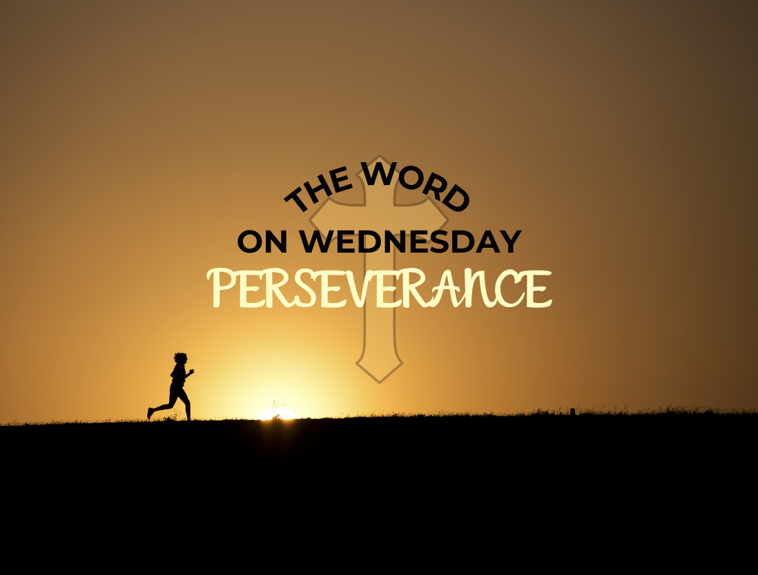 Perseverance, by Kristi Ann Hunter - Debb Hackett