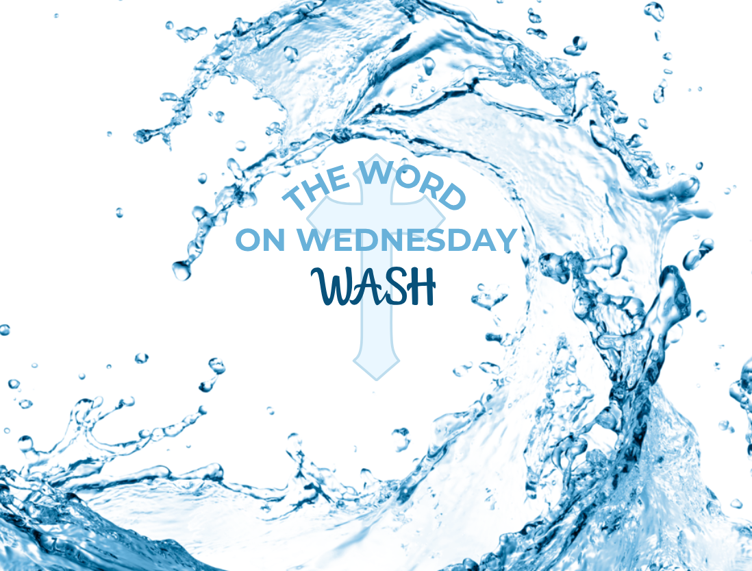 Wash, by Melissa Carey - Debb Hackett
