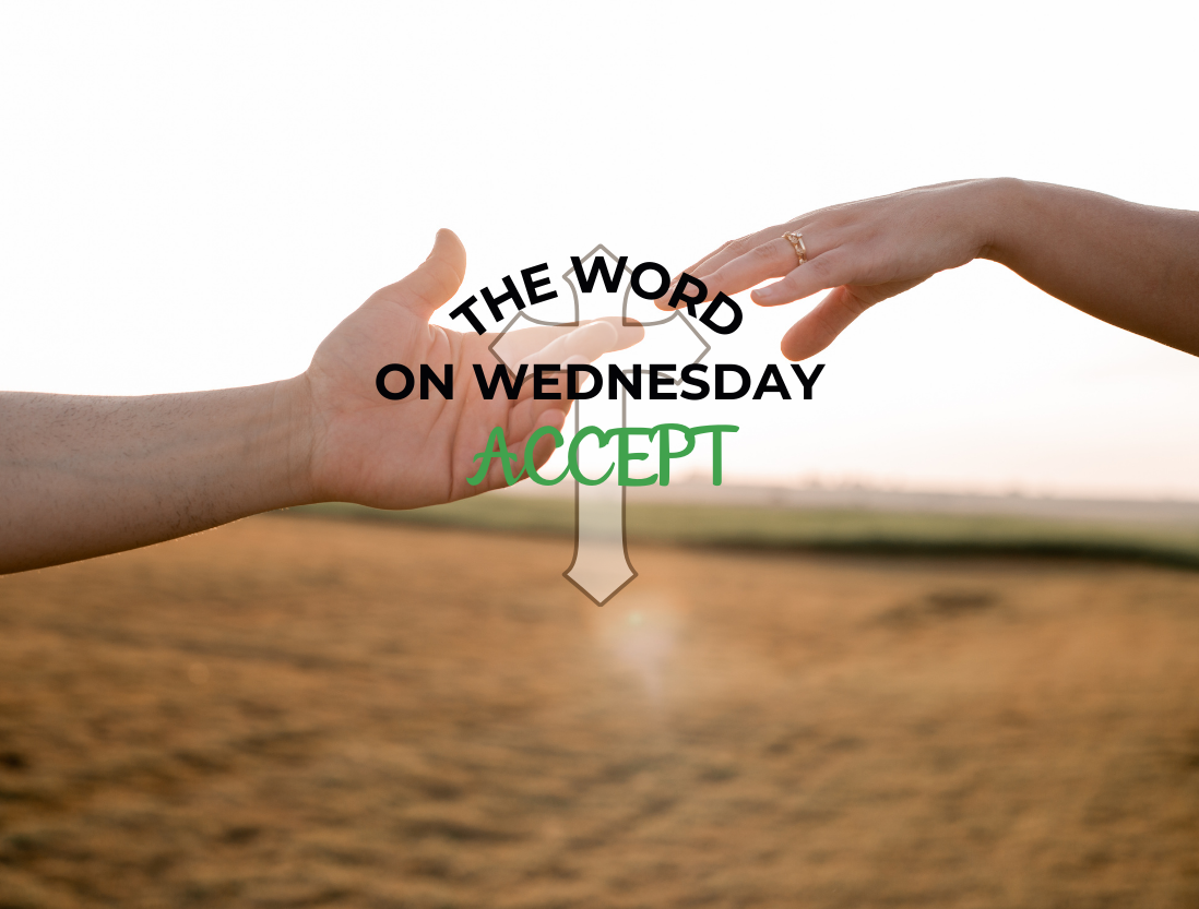 Accept, by Melissa Carey - Debb Hackett