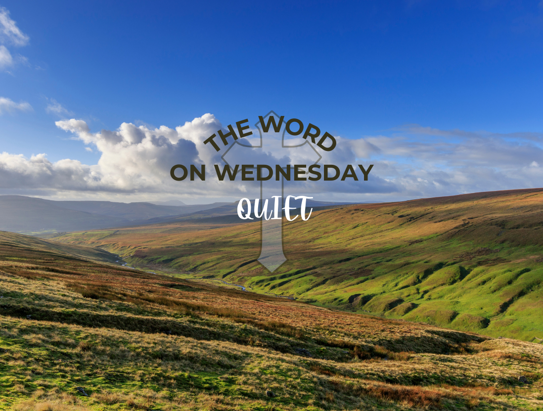 Quiet, by Melissa Heiland - Debb Hackett